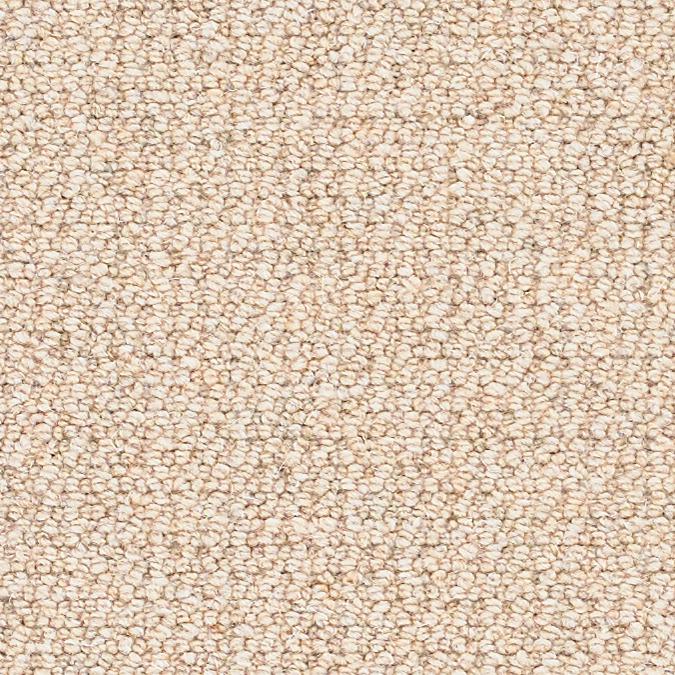 Home in Cosy Boucle | FloorLove Carpets