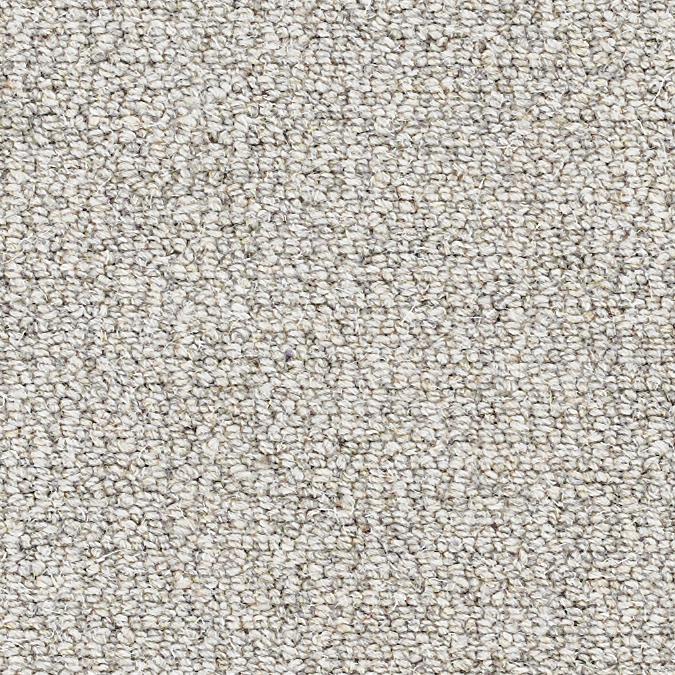 Toasty in Cosy Boucle | FloorLove Carpets