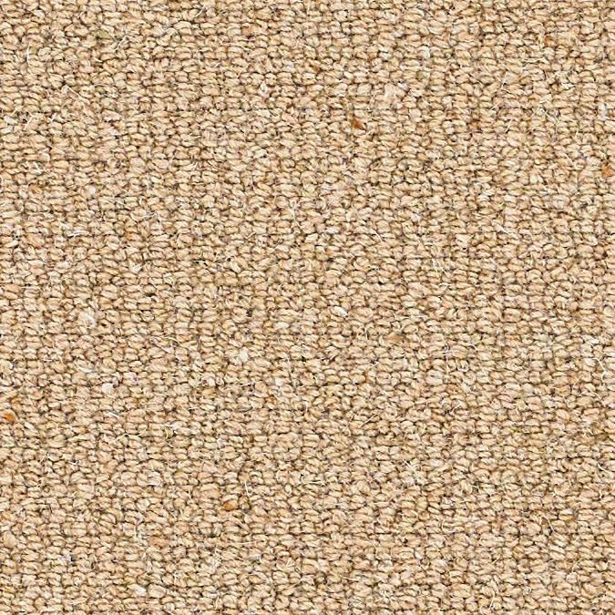 Barefoot in Cosy Boucle | FloorLove Carpets