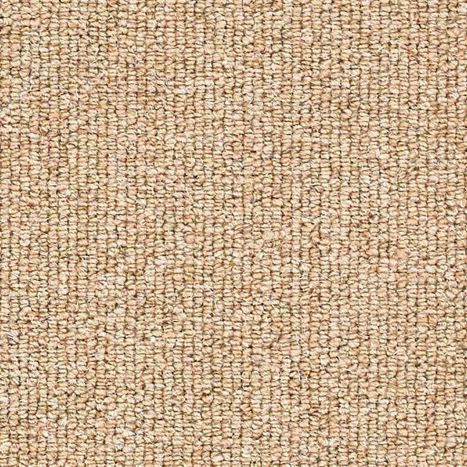 Barefoot in Cosy Loop | FloorLove Carpets