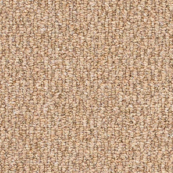 Family in Cosy Weave | FloorLove Carpets