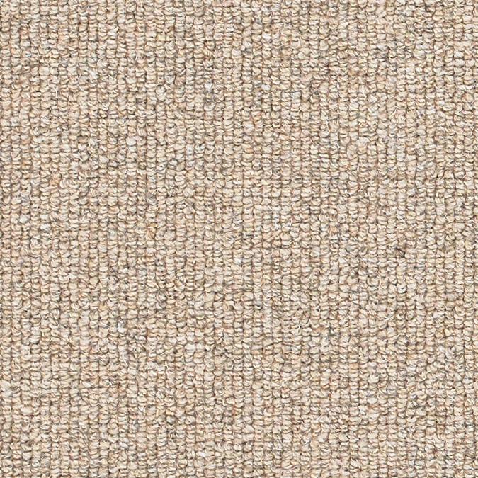 Cushy in Cosy Loop | FloorLove Carpets